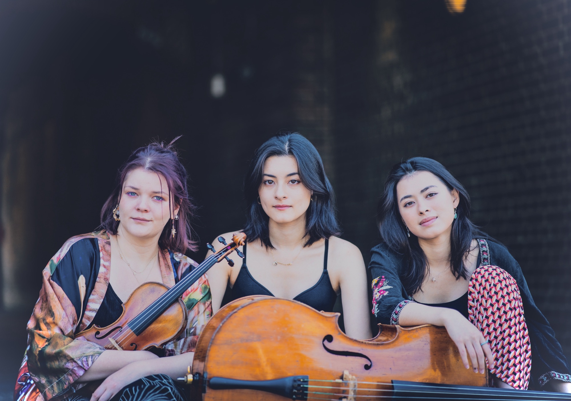 Gallery – ASTATINE TRIO